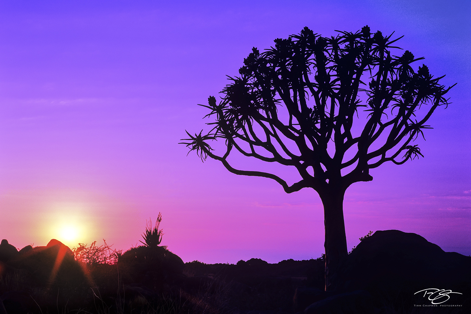 Kalahari Desert Sunset